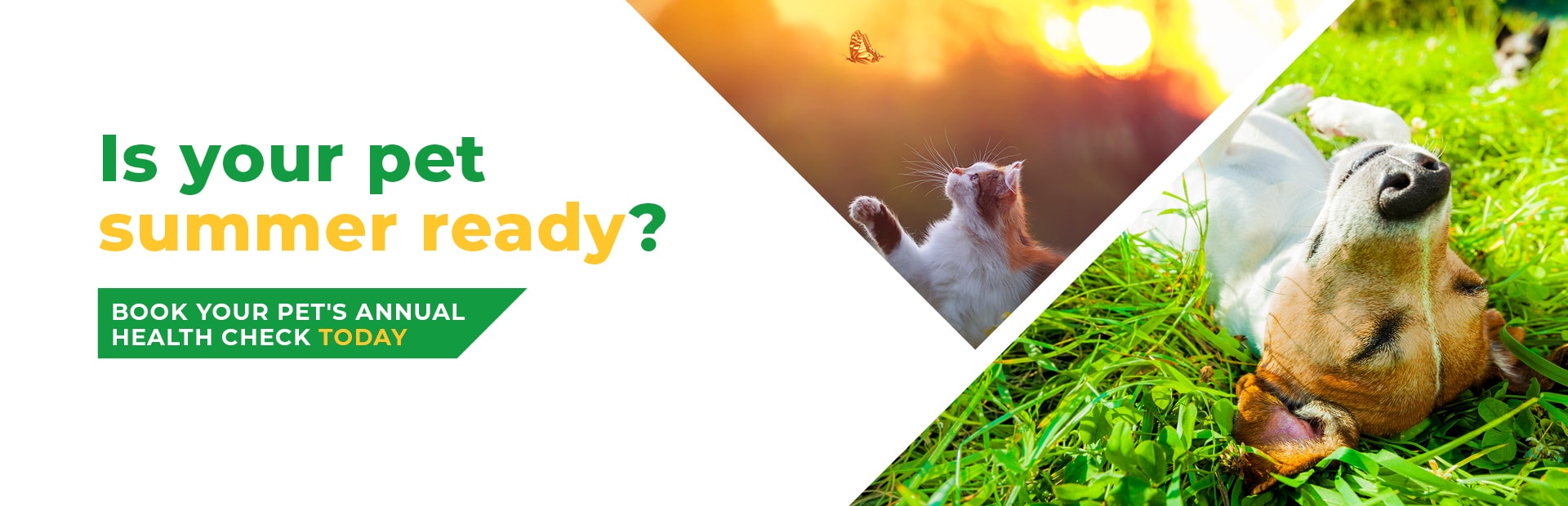 Vets in Guildford | Vets in Surrey | Oak Barn Vets