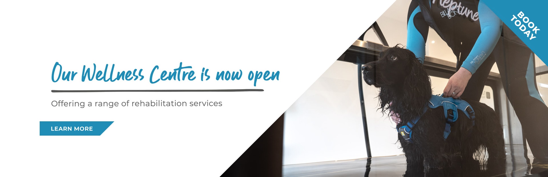 Vets in Guildford | Vets in Surrey | Oak Barn Vets